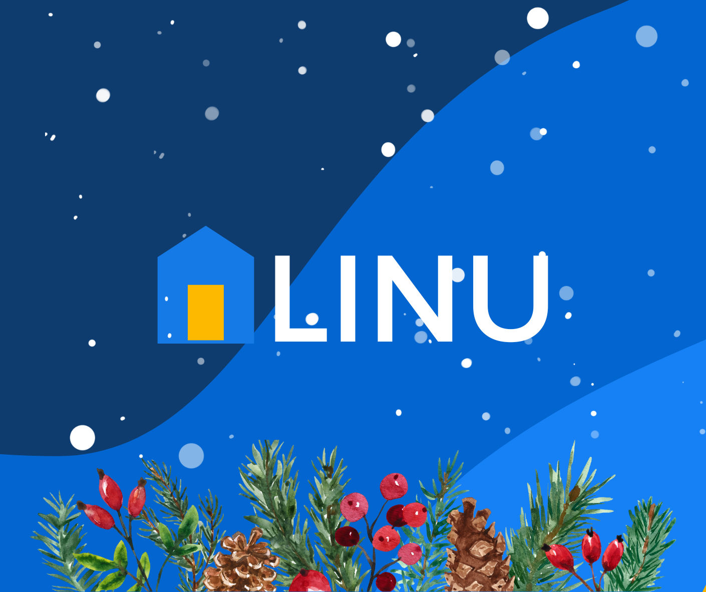 End Of The Year 2022 Letter - LINU